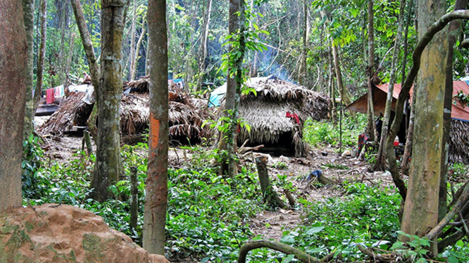 En un poblado "batek", los primeros habitantes de Malasia - LonelyPlanet