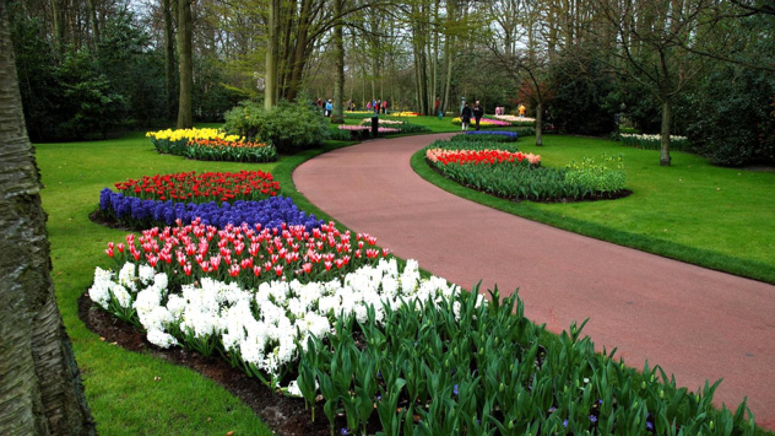 Ver y oler los tulipanes, Países Bajos - LonelyPlanet