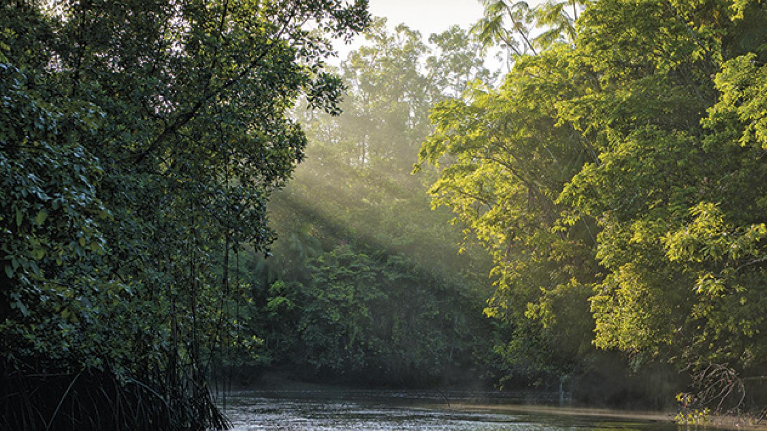 Las mejores experiencias sostenibles en el Amazonia brasileña ...