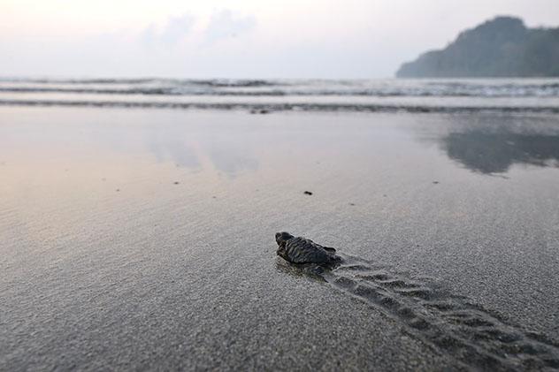 Islas de la India: descubrir las maravillosas islas Andamán - LonelyPlanet