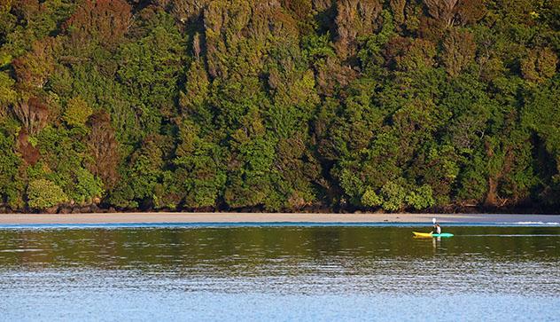 Isla de Stewart, Nueva Zelanda: una de las maravillas del mundo ...