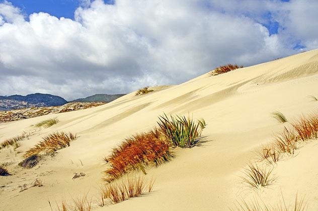 Isla de Stewart, Nueva Zelanda: una de las maravillas del mundo ...